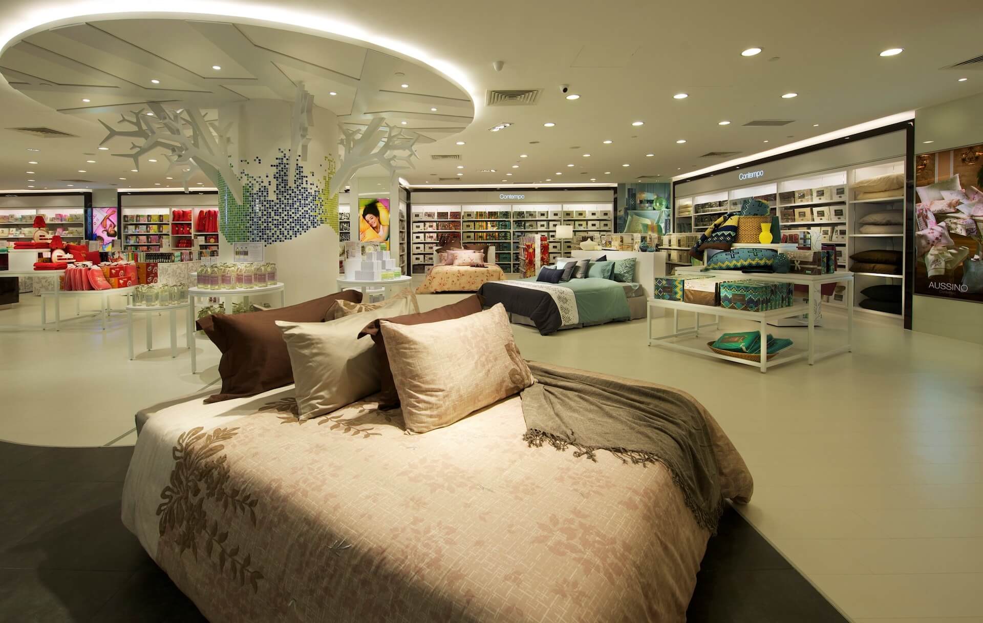 Management of the Business – Aussino